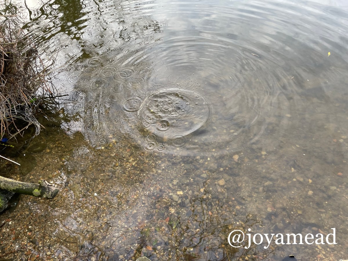 How Far Does Your Ripple Spread? – Joy A. Mead