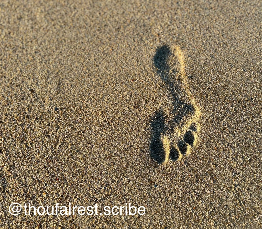 Mamas, Stronger Together – Guest Series: Choose Life – Joy A. Mead